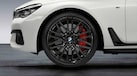 BMW 21 Zoll Sommer-Leichtmetallräder M Performance Doppelspeiche 650M ...
